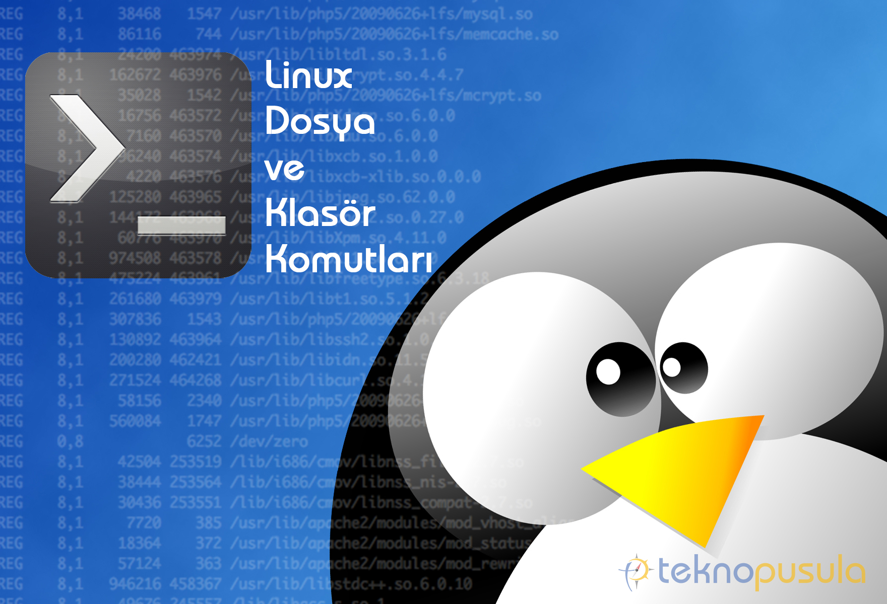 Linux Dersleri-5: Temel Linux Dosya ve Klasör Komutları ~ Yunus Emre UĞUR
